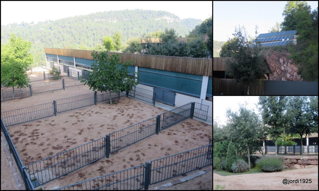 Salgot: visita a una ecogranja - proper.cat